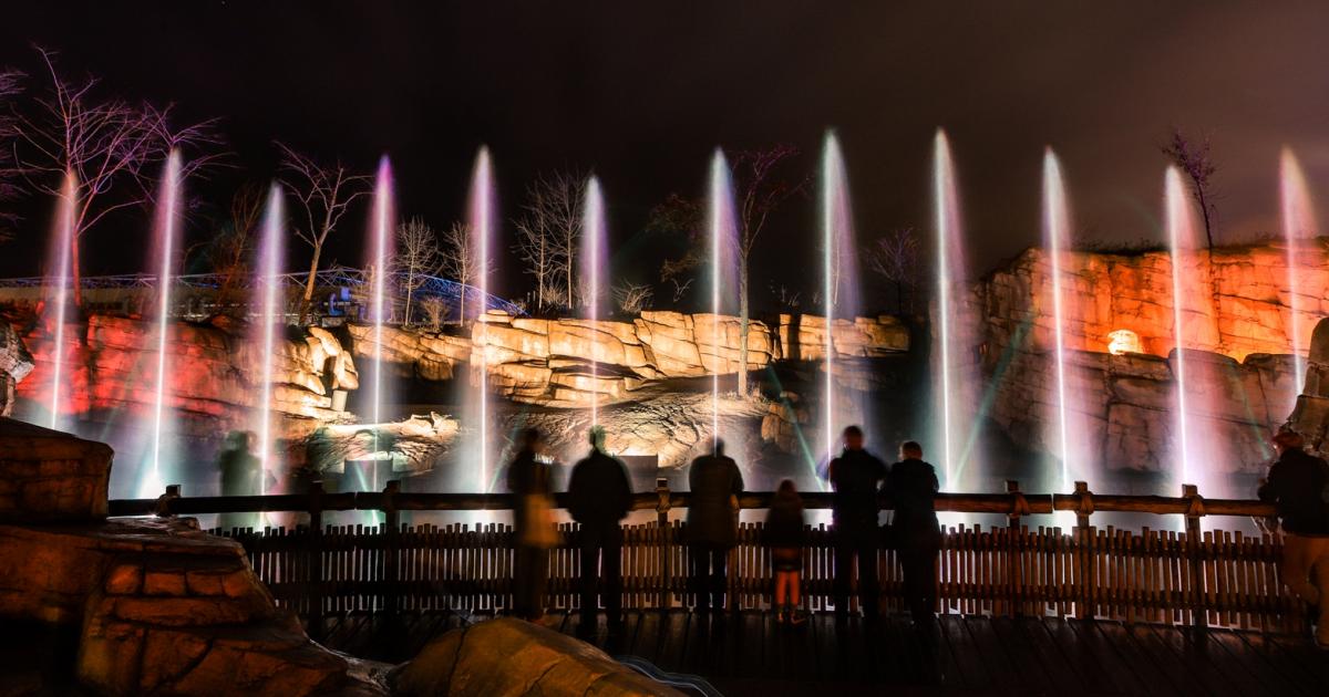 WILDnights - WILDLANDS