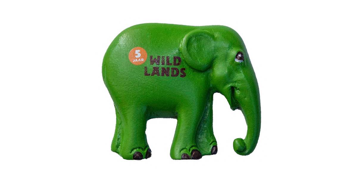 3D Hand Painted - Wildlands 5 Jaar Magnet - WILDLANDS