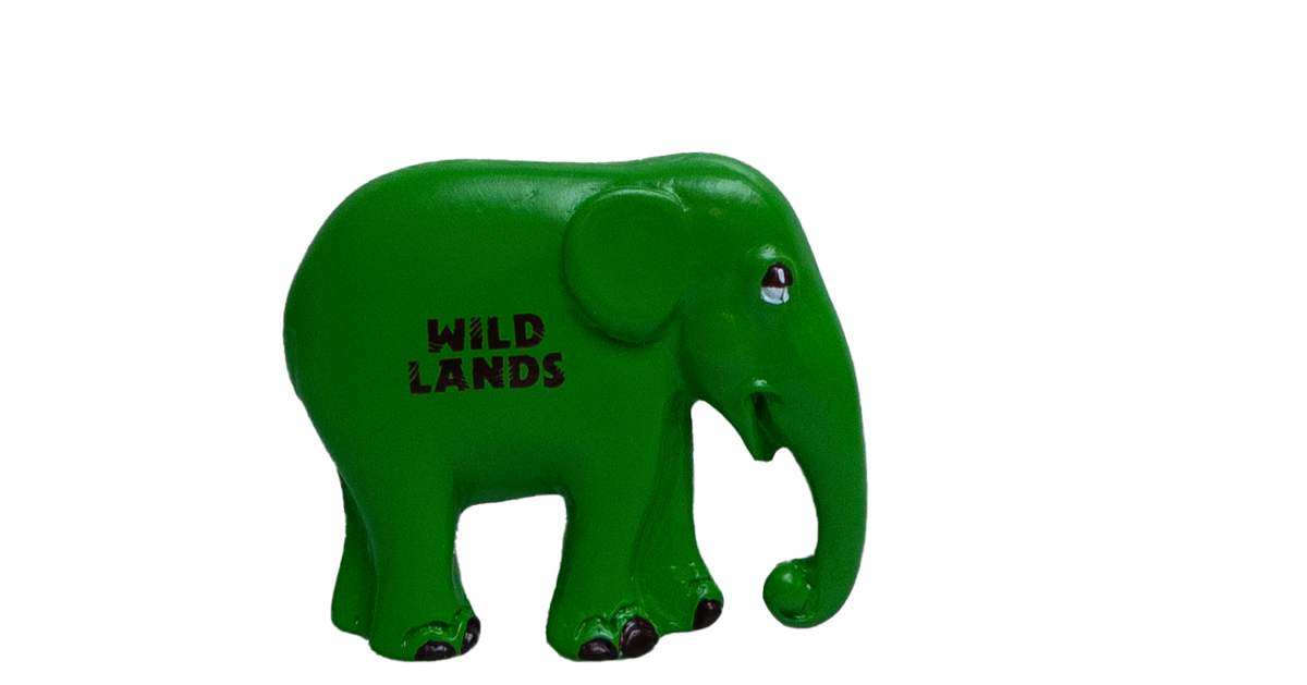 3D Hand Painted - Wildlands Magnet - WILDLANDS